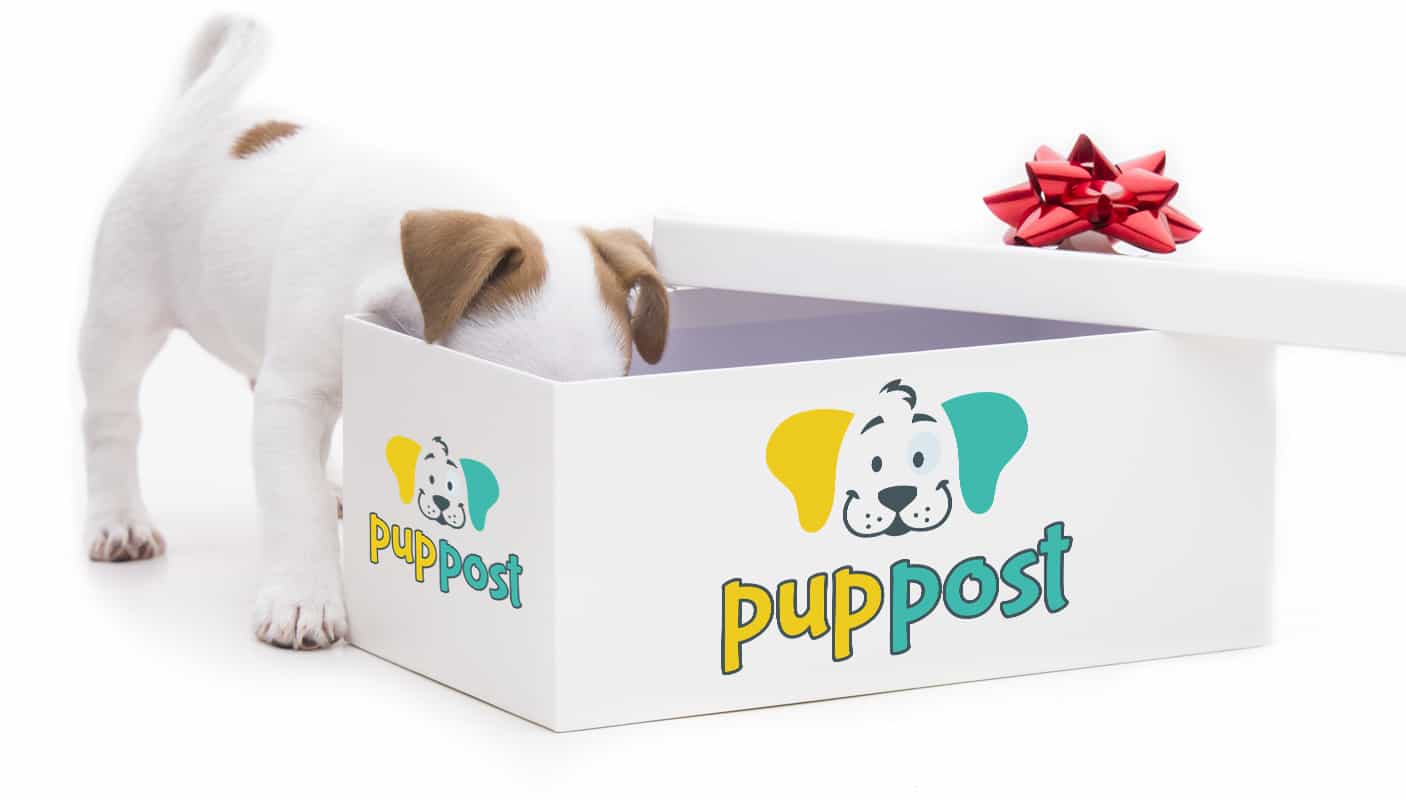 Looking For The Best Website Design? Choose Leading Web Designers